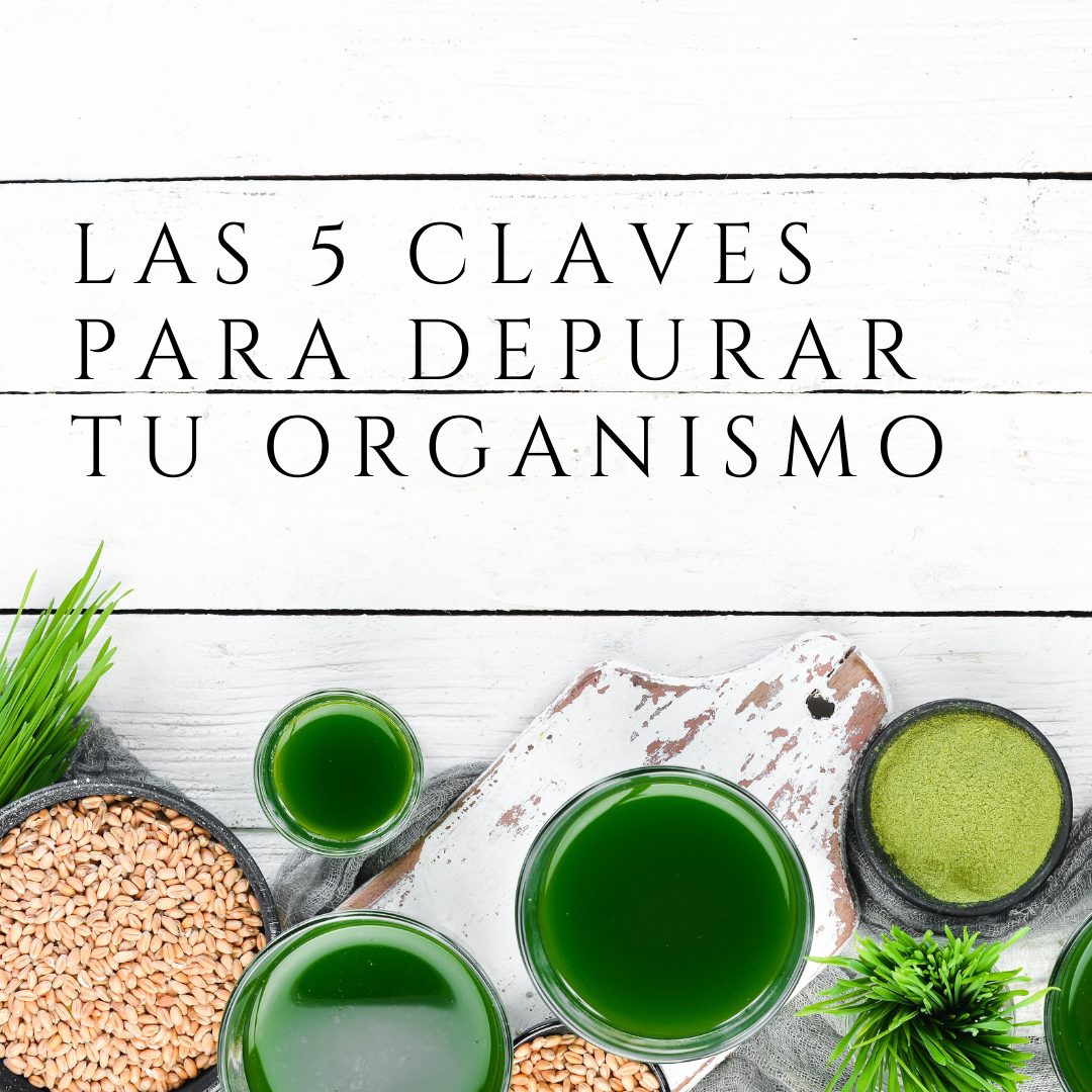 Las 5 claves para iniciar un proceso depurativo - Organica Superfoods