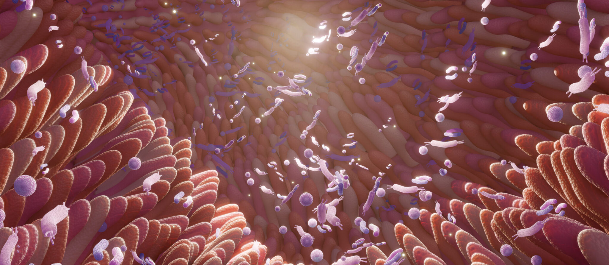 Microbiota Vs Microbioma Organica Superfoods
